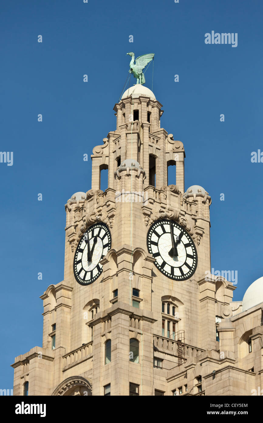 Clock Tower of the Royal Liver Building, Liverpool Stock Photo - Alamy