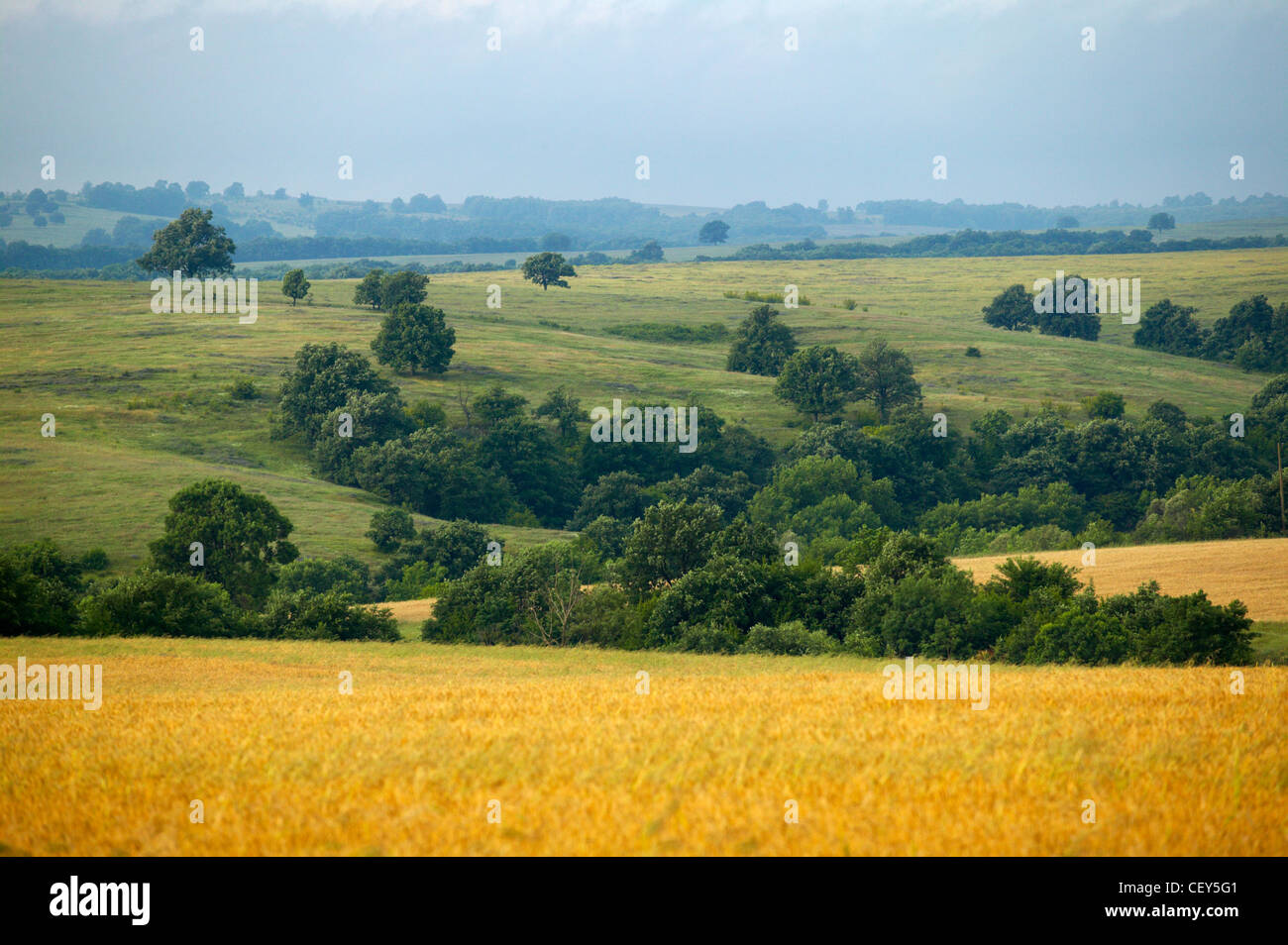 Landscape from Strandja mountain Stock Photo - Alamy