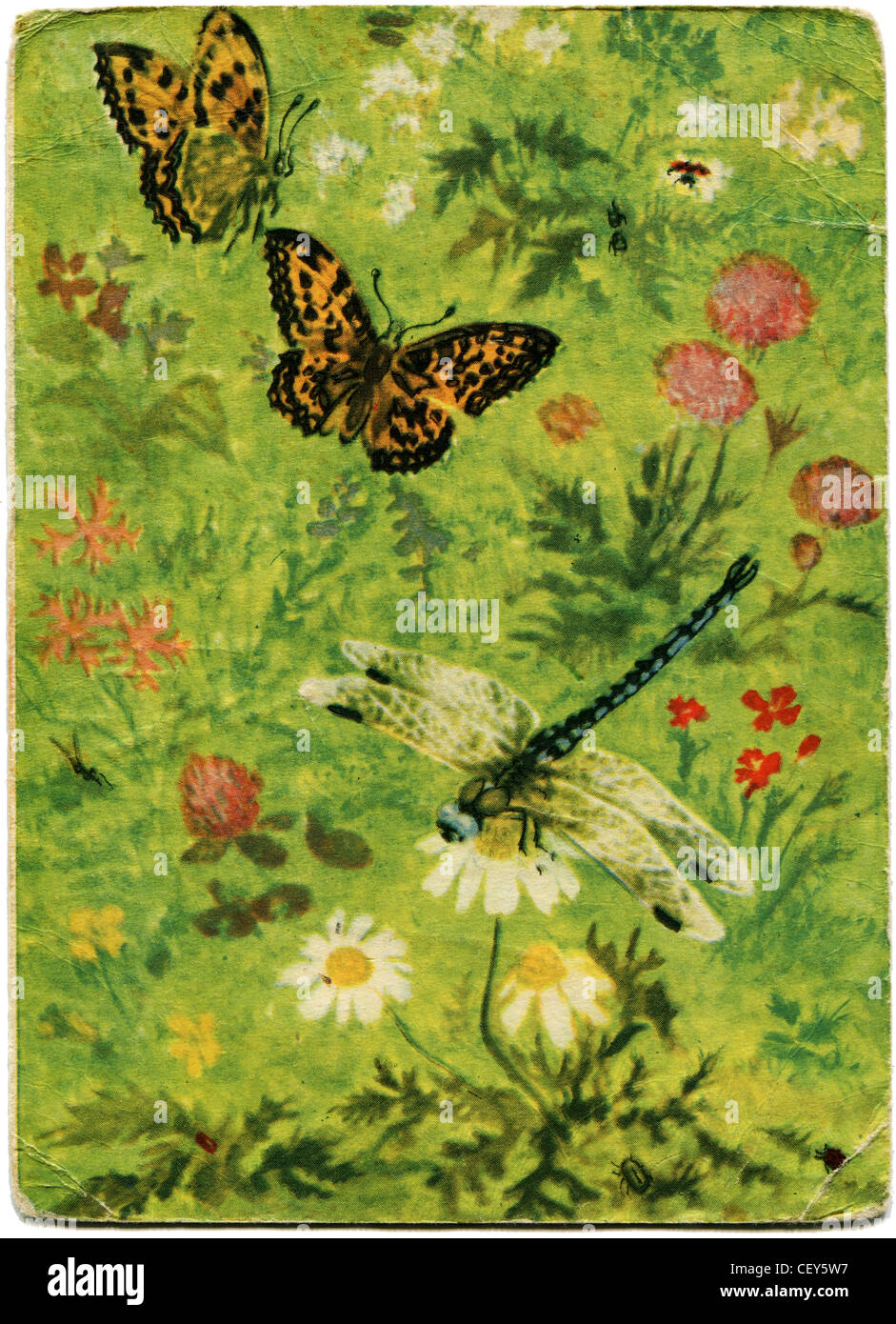 In the meadow - picture artist Vladimir Lebedev, Moscow, USSR, 1958 ...