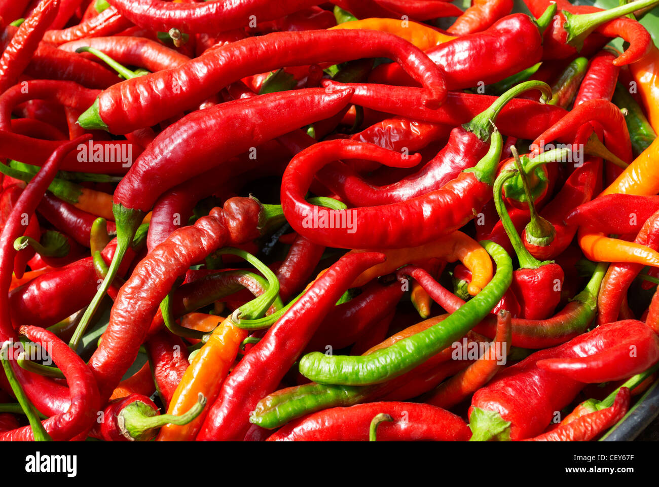 Red hot chilli peppers Stock Photo - Alamy
