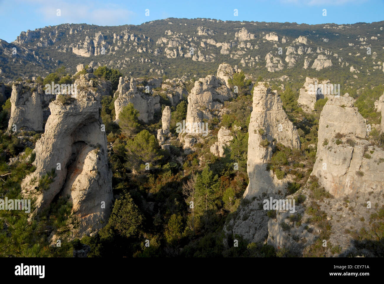 Strange standing rock formations, worn by the rain of millions of years ...