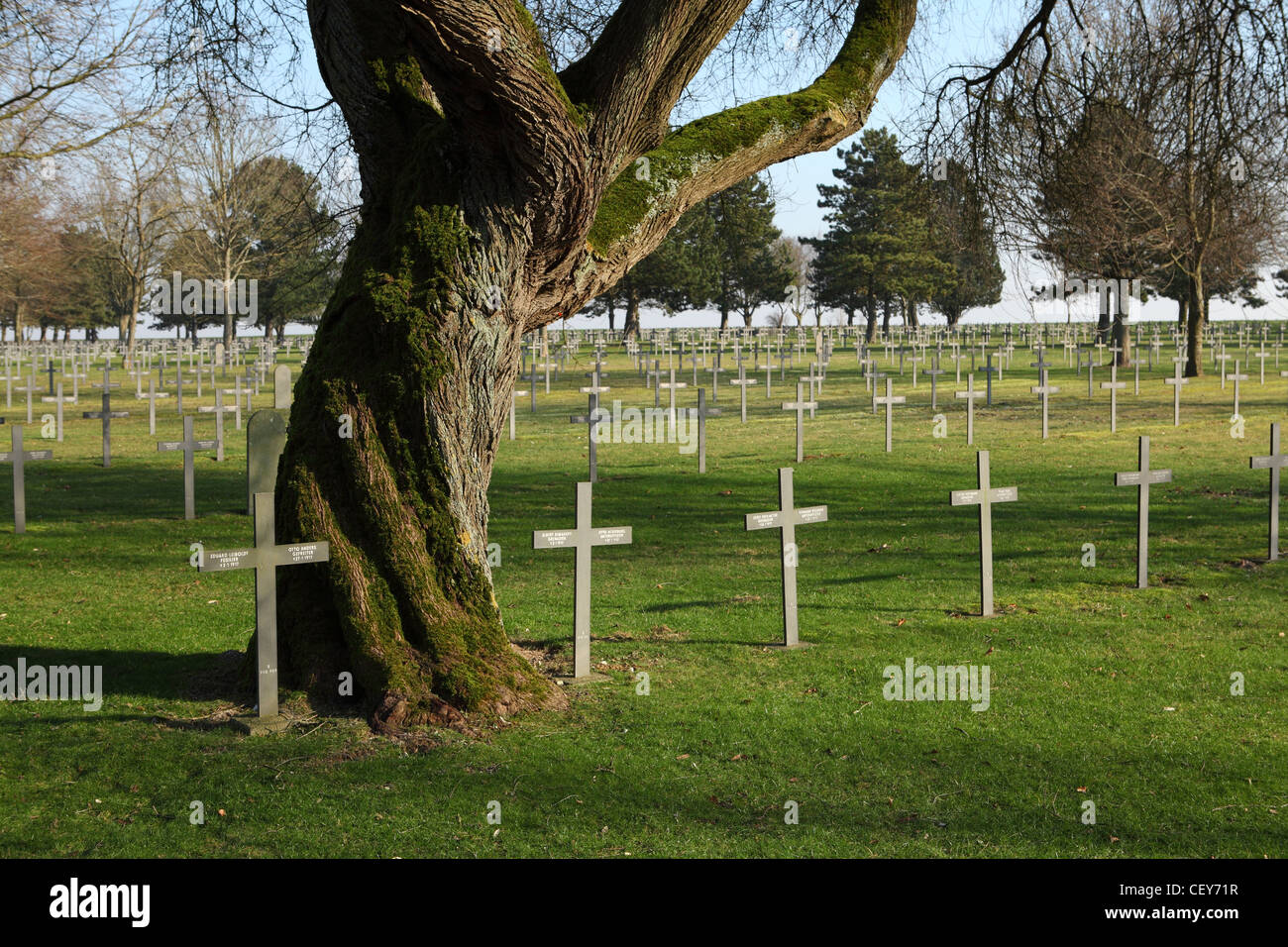 The headstones of fallen German soldiers, who fought in World War One ...