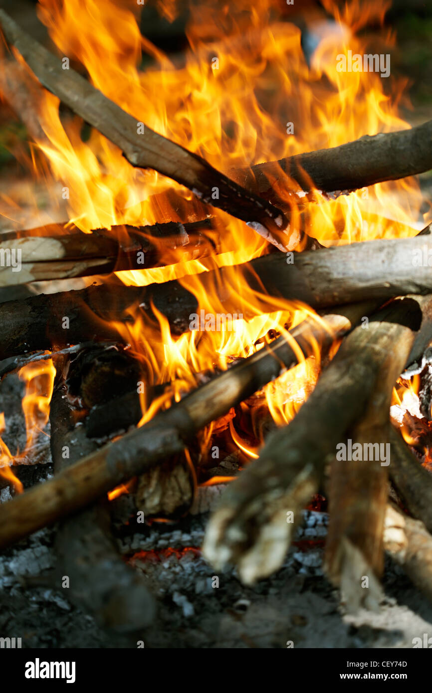 Fire close-up, burning wood for making a barbecue Stock Photo - Alamy