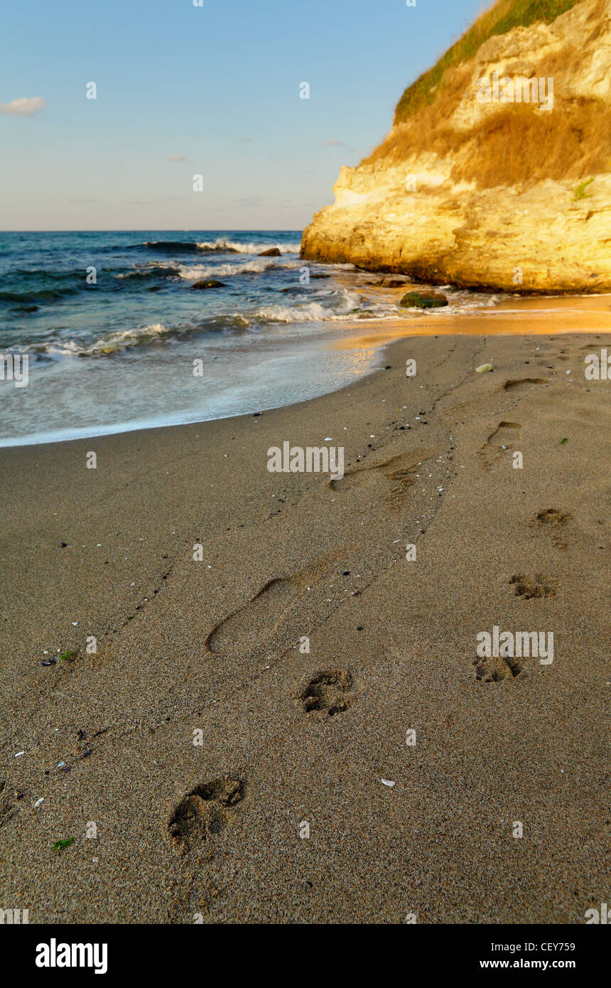 Signs on the beach sand at sunset Stock Photo - Alamy