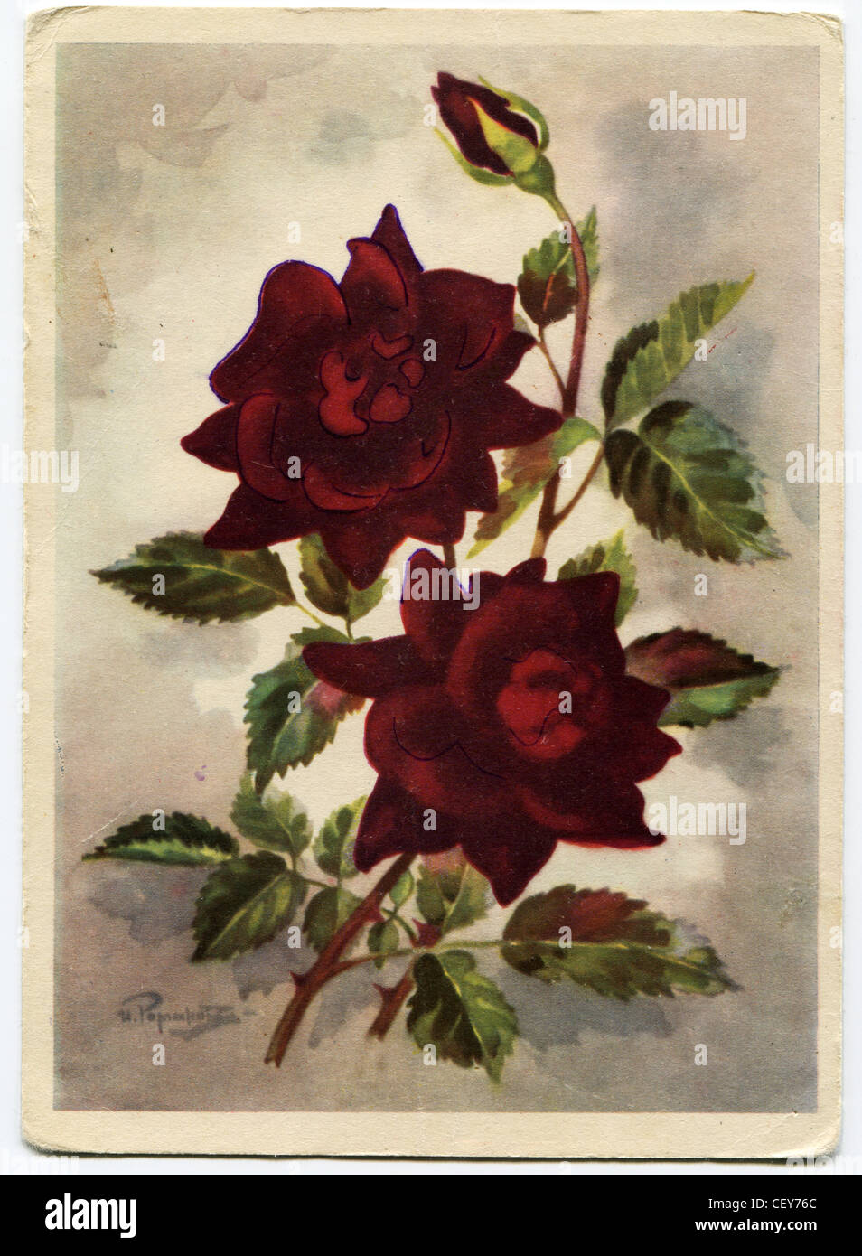 Roses - picture artist Ilya Romanov, Moscow, 1964 Stock Photo - Alamy