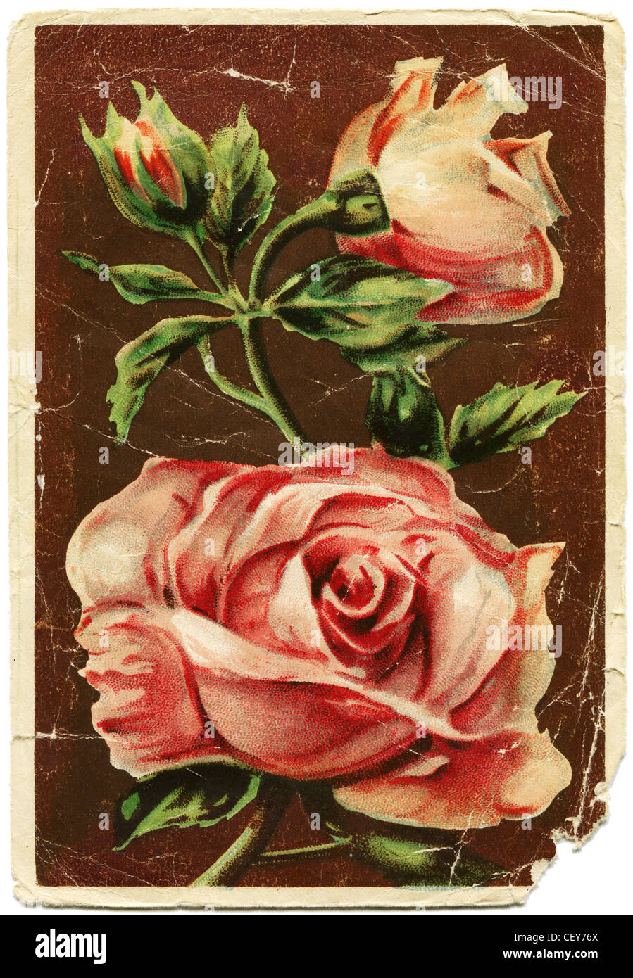 Roses - picture artist Ivan Shvedov, Rostov-on-Don, USSR, 1950 Stock ...