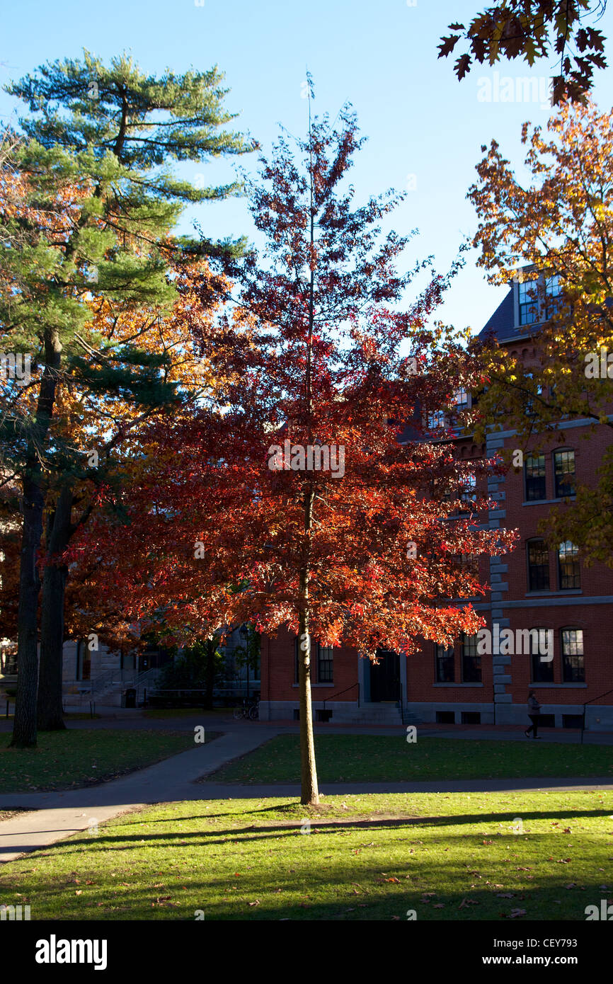 Ivy league architecture hi-res stock photography and images - Alamy
