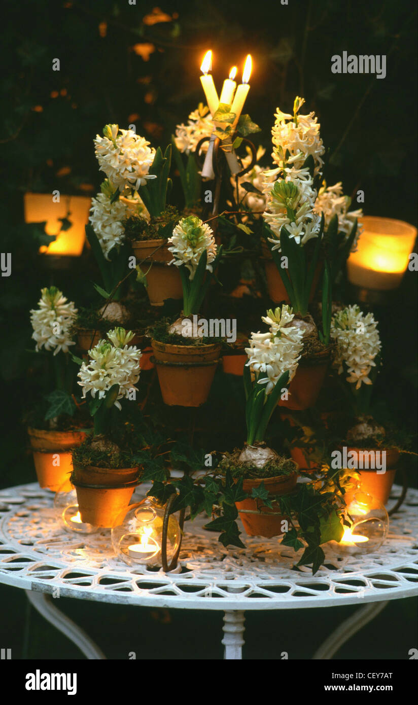 Flowering Hyacinth Arrangements INSTRUCTIONS AVAILABLE: Hyacinth ...