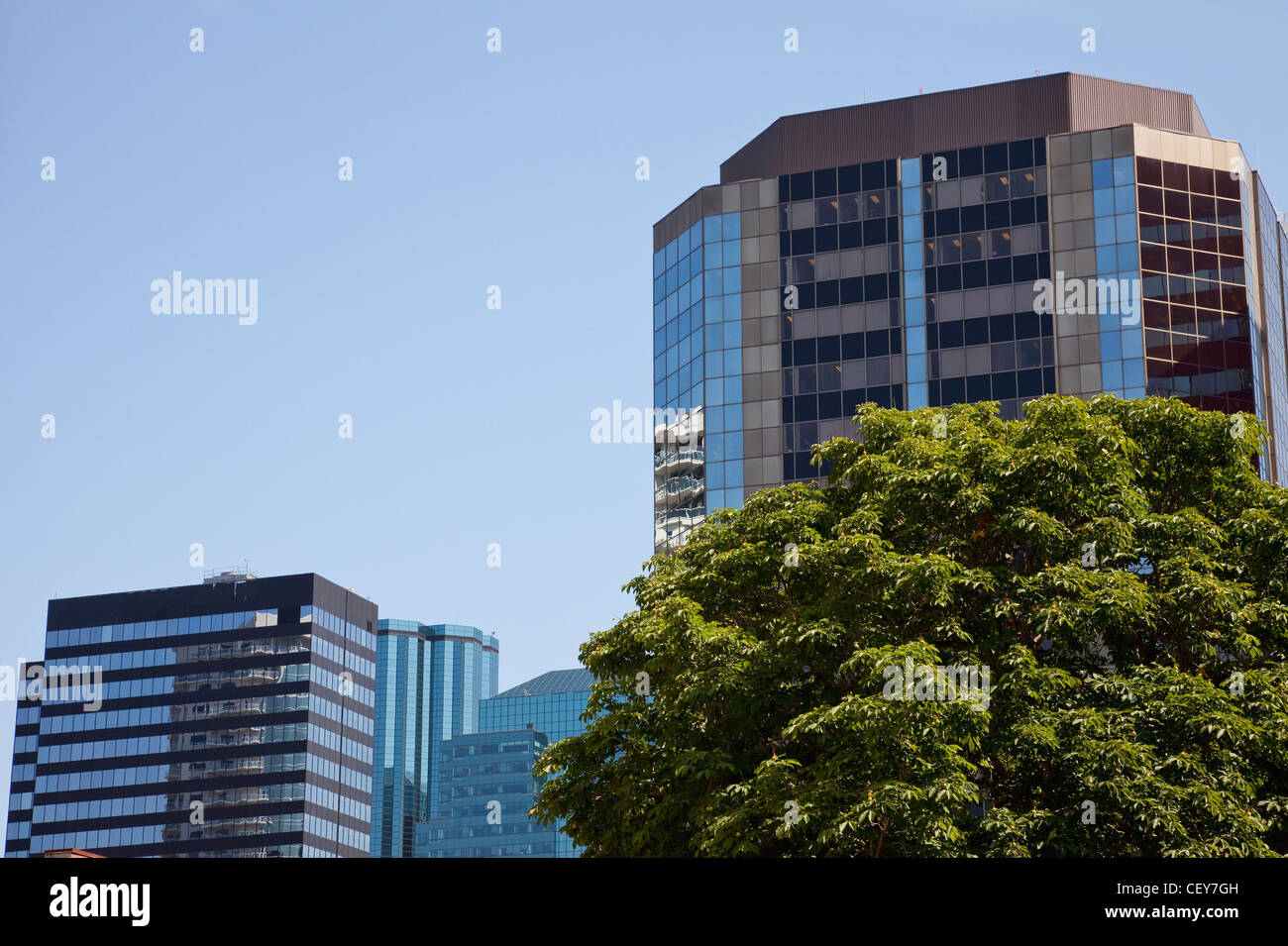 highrise buildings in a downtown area; edmonton, alberta, canada Stock ...