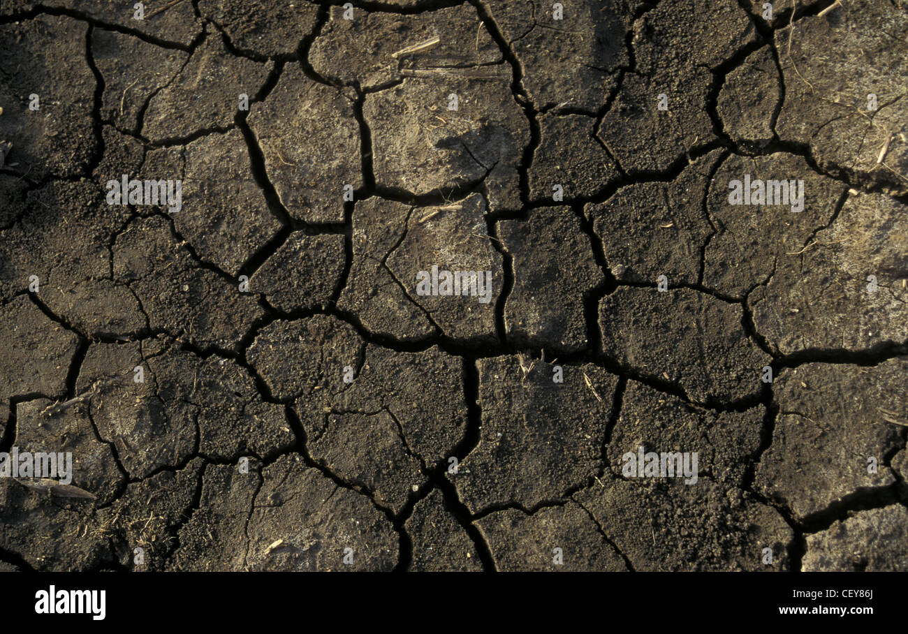 effects of drought Stock Photo - Alamy