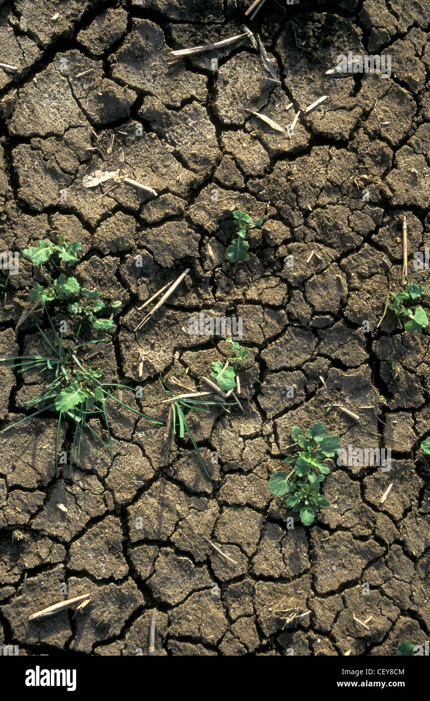 Drought farm agriculture soil hi-res stock photography and images - Alamy