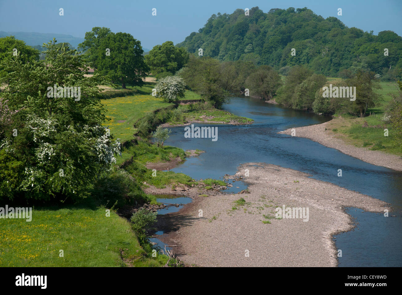 Tywi towy river hi-res stock photography and images - Alamy