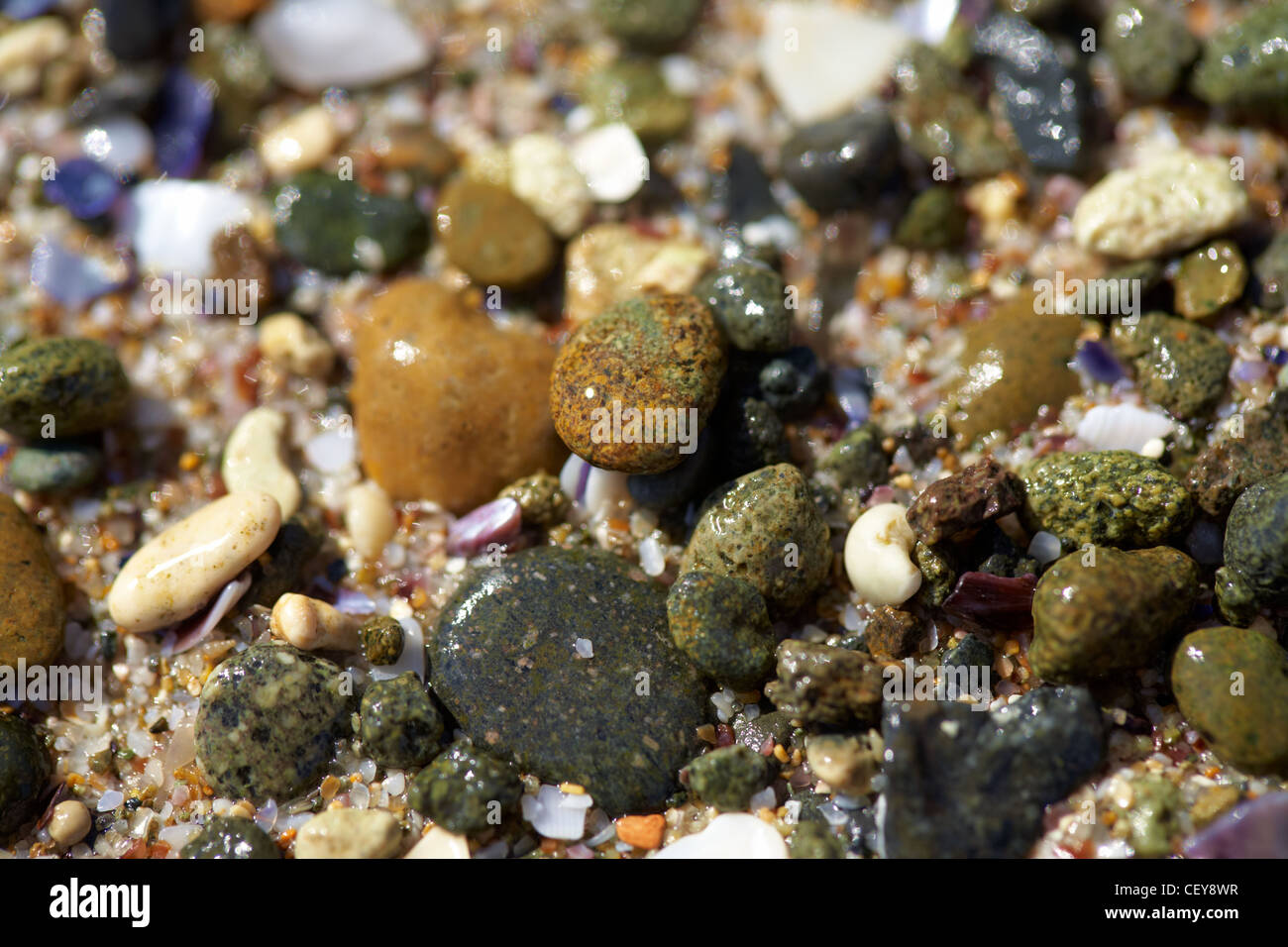 Wet round hi-res stock photography and images - Alamy