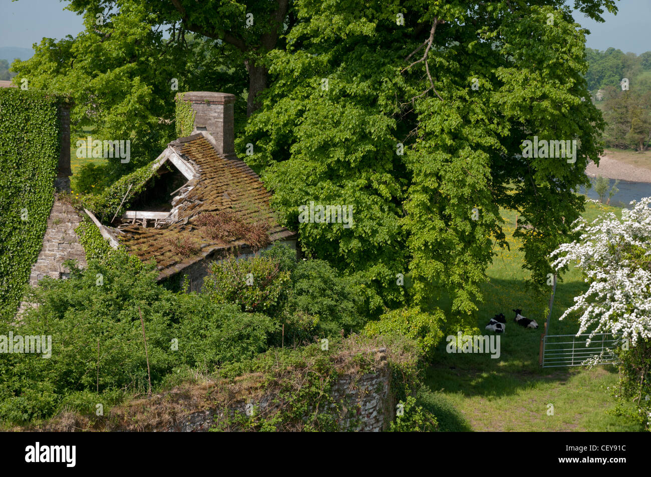 Delapidated house hi-res stock photography and images - Alamy