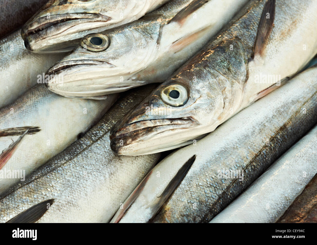 Cod fish hi-res stock photography and images - Alamy