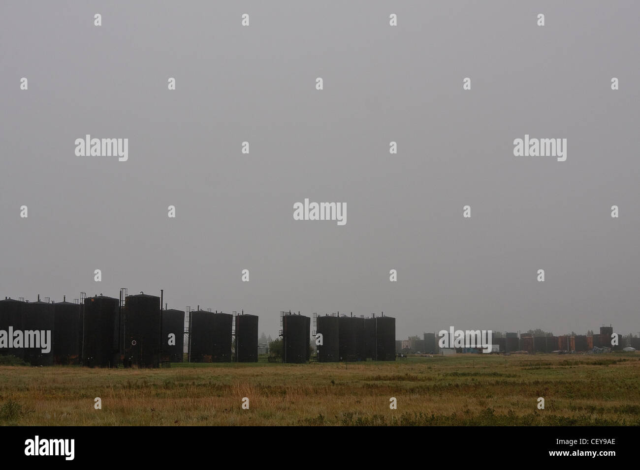 Oil tanks in fog near Marsden, Saskatchewan Stock Photo - Alamy