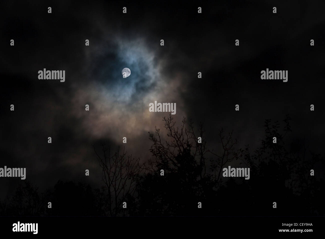 Moon and trees Stock Photo - Alamy