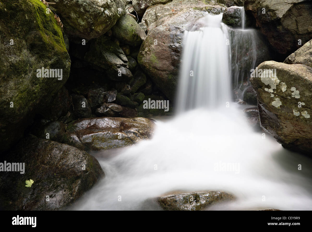 Waterfall on mountain stream, running between stones Stock Photo - Alamy