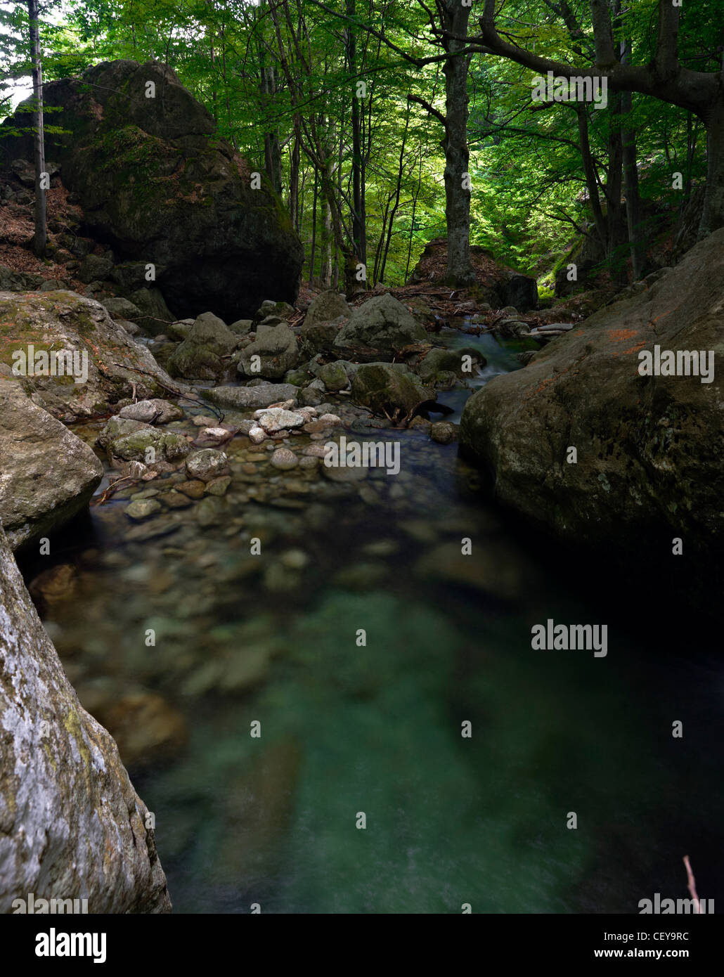 Crystal clear water mountain stream hi-res stock photography and images ...