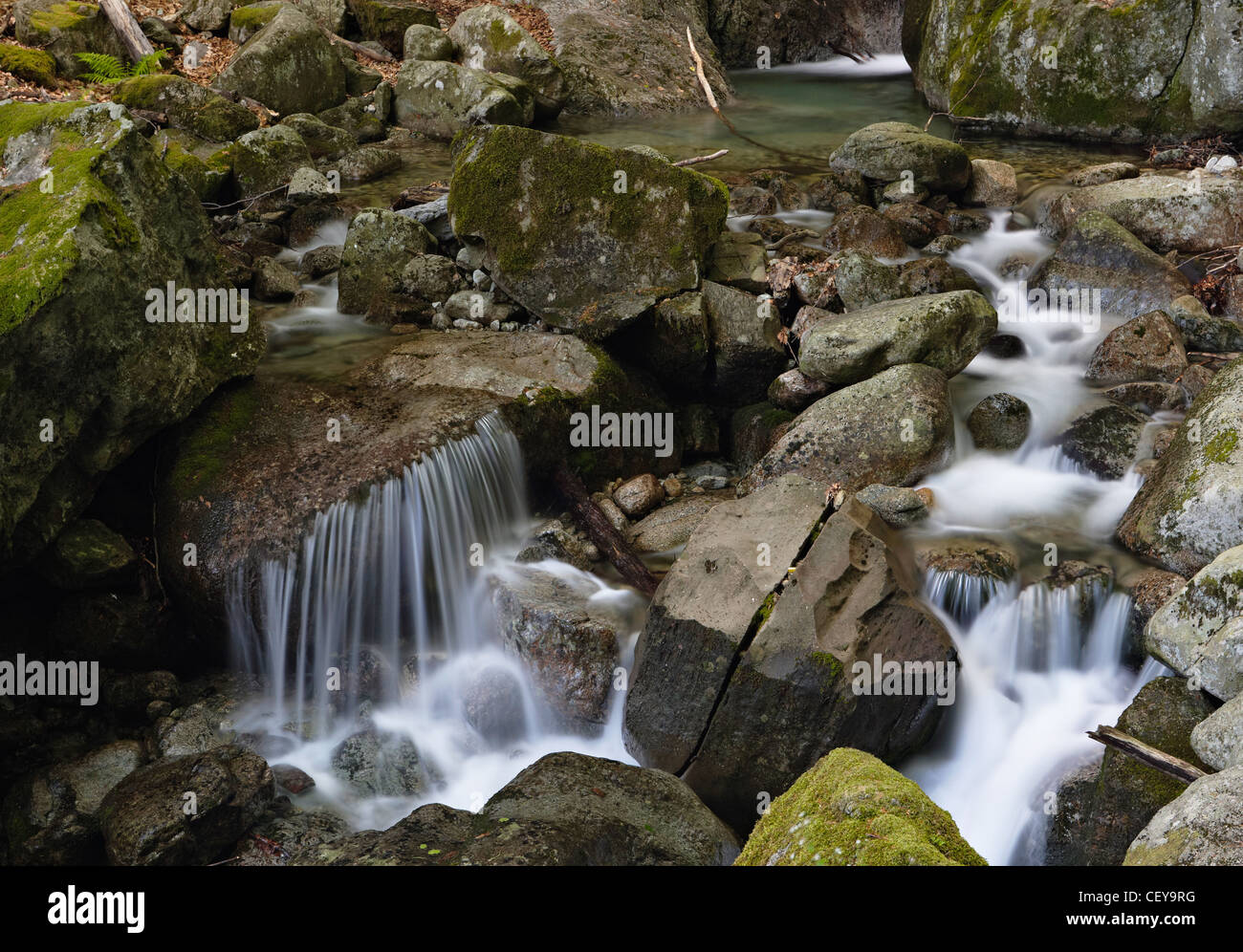 Mountain stream between rocks Stock Photo - Alamy