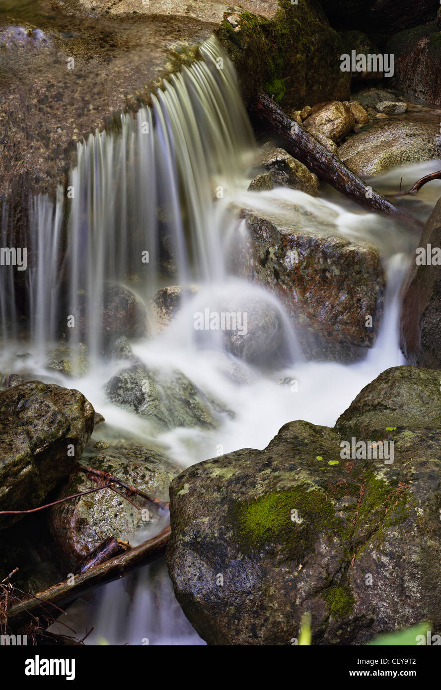 Stream with stones hi-res stock photography and images - Alamy