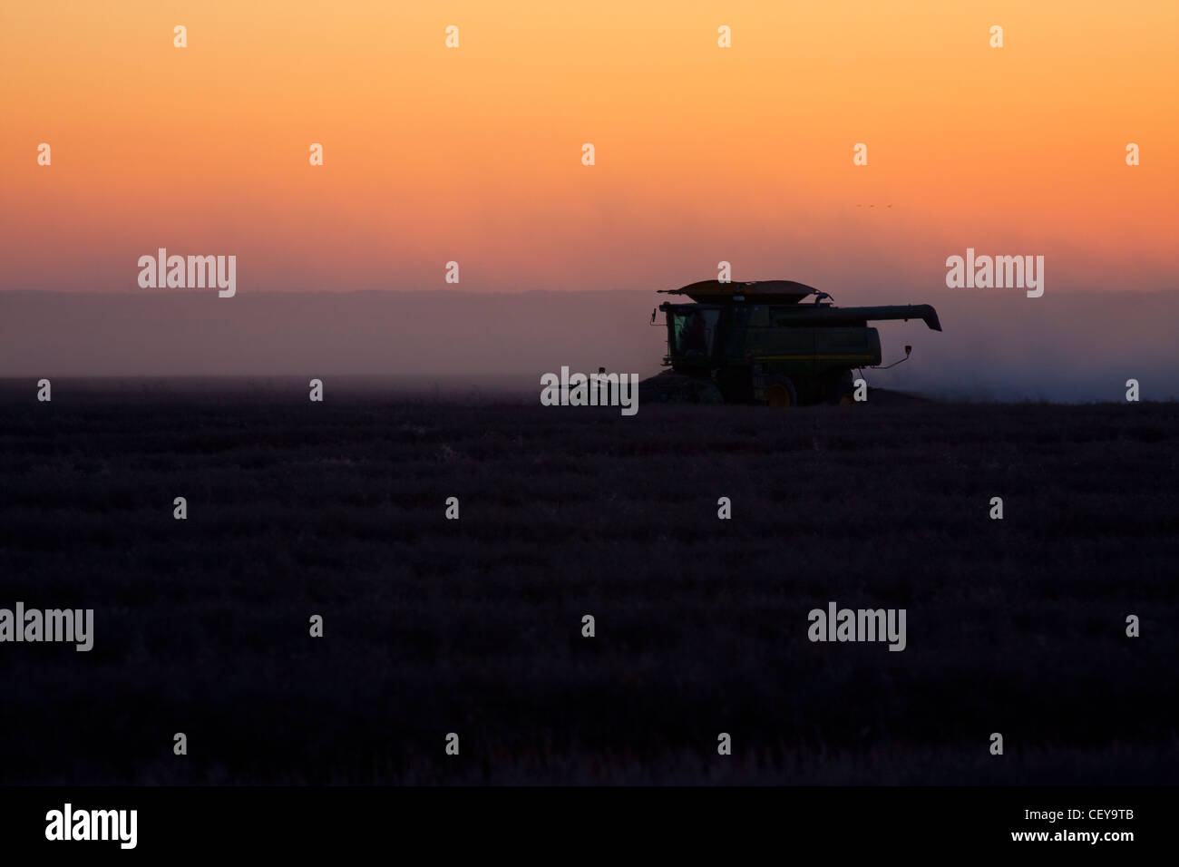 Canola combine hi-res stock photography and images - Alamy