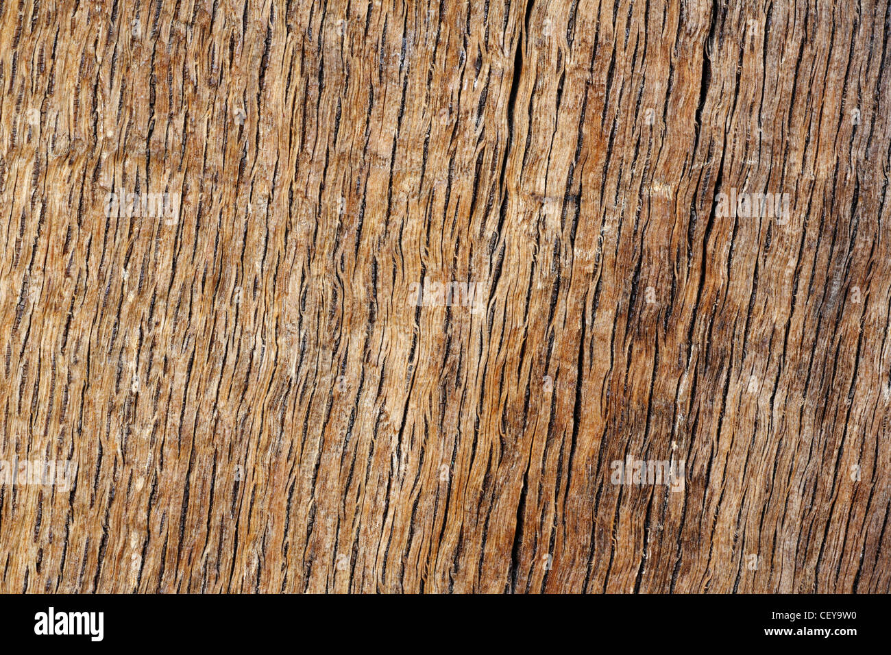 Old oak timber surface Stock Photo - Alamy
