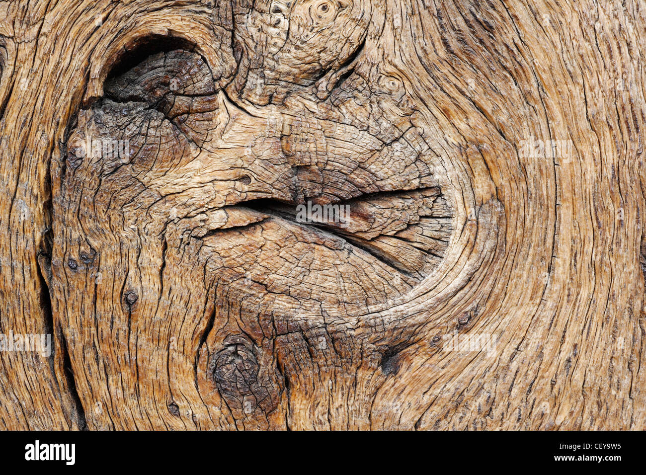 Old oak timber surface Stock Photo - Alamy