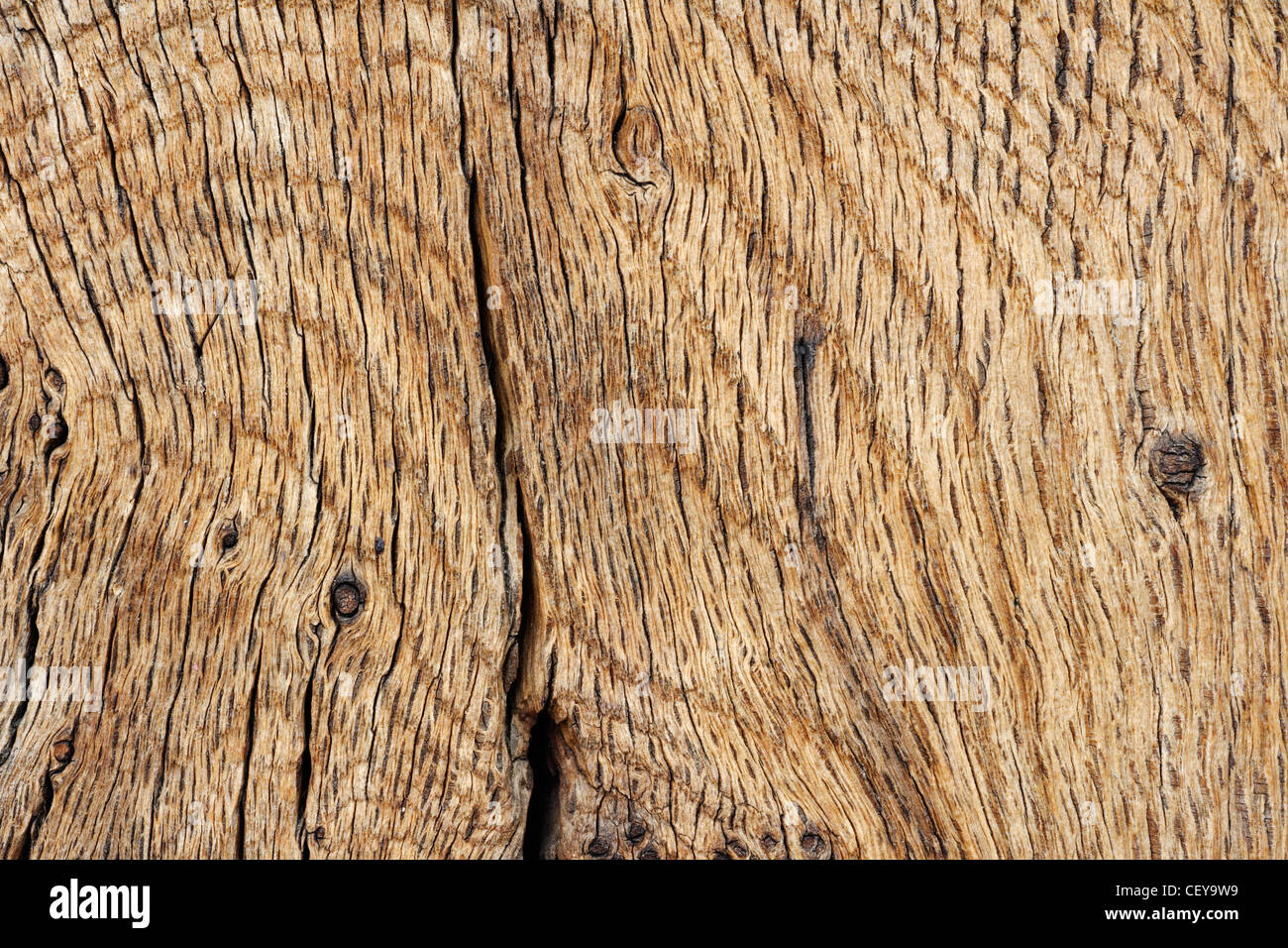 Old oak timber surface Stock Photo - Alamy