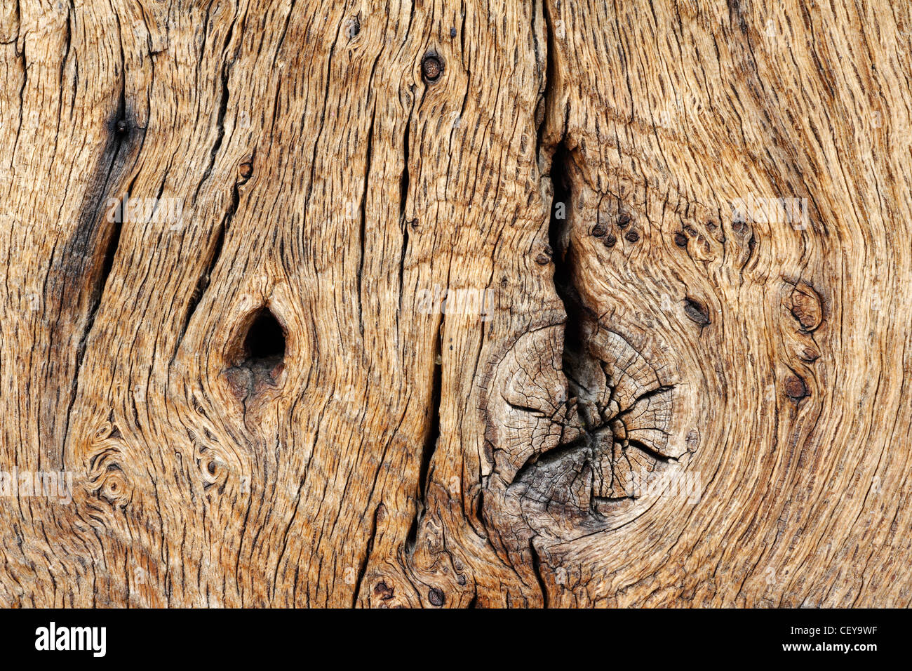 Old oak timber surface Stock Photo - Alamy