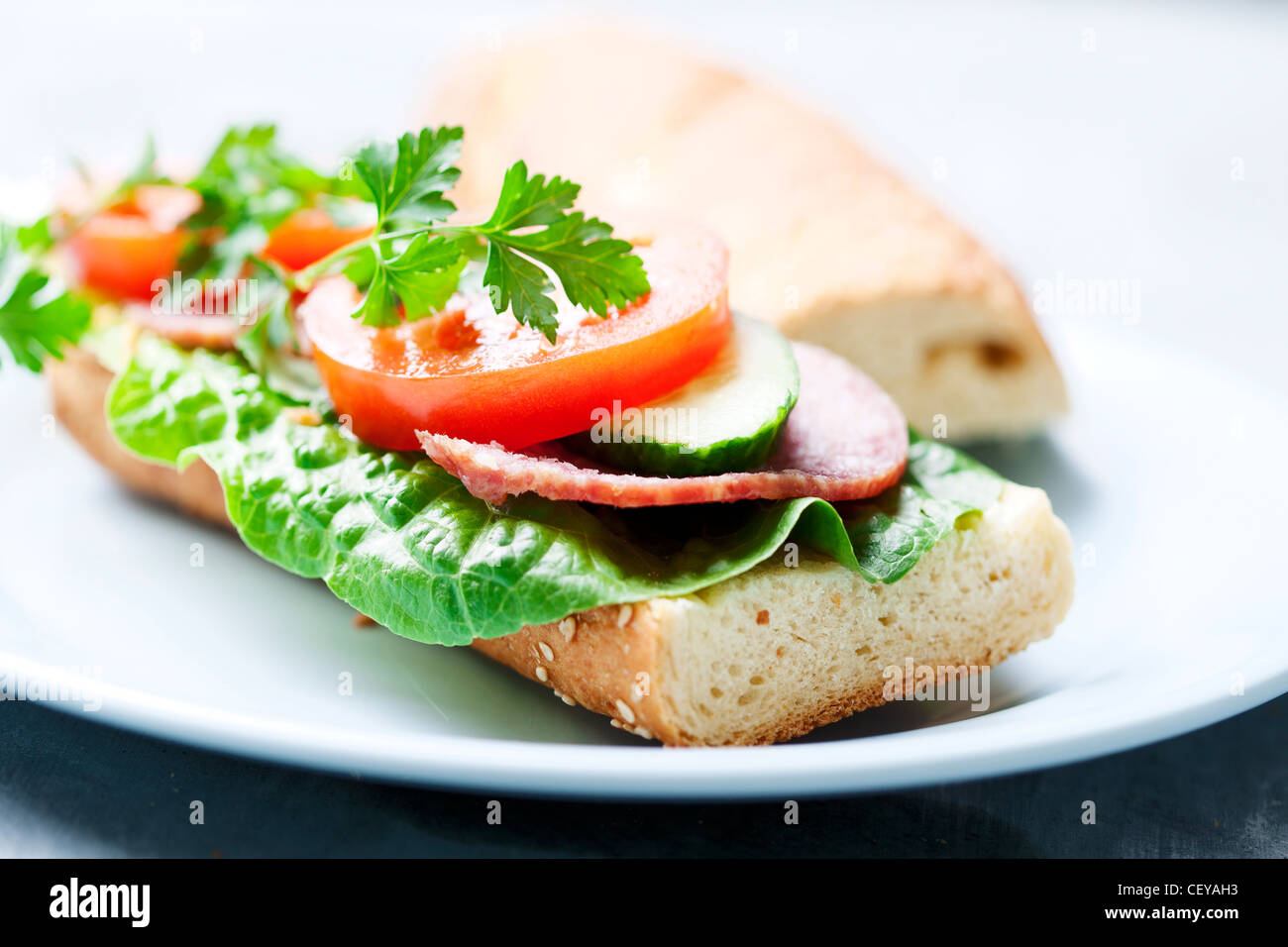 Sandwich toppings hi-res stock photography and images - Alamy