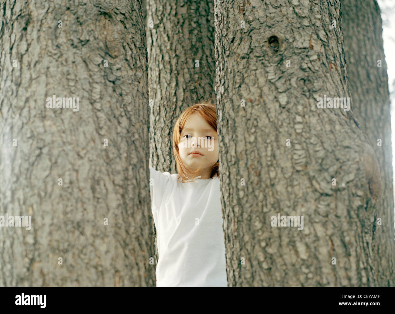 Female child standing between trees Stock Photo - Alamy