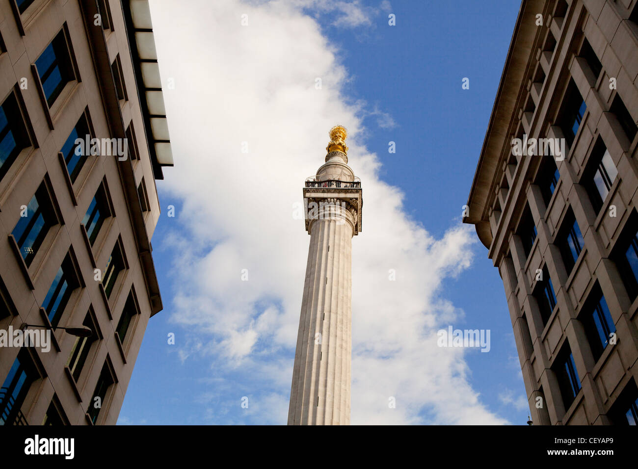 A view of the Monument in central London Stock Photo - Alamy