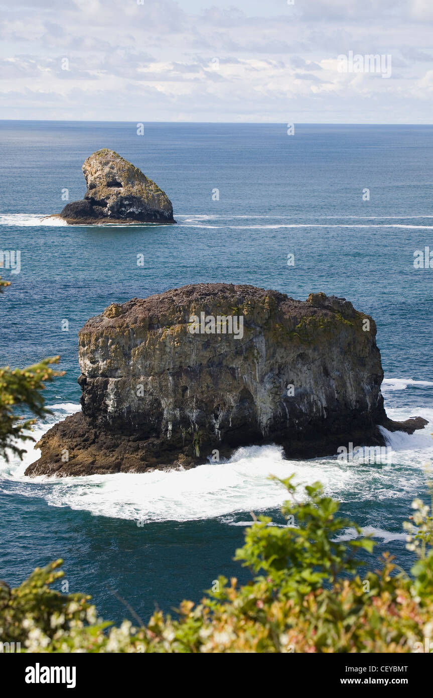 rock formations in the ocean off the coast; oregon united states of ...