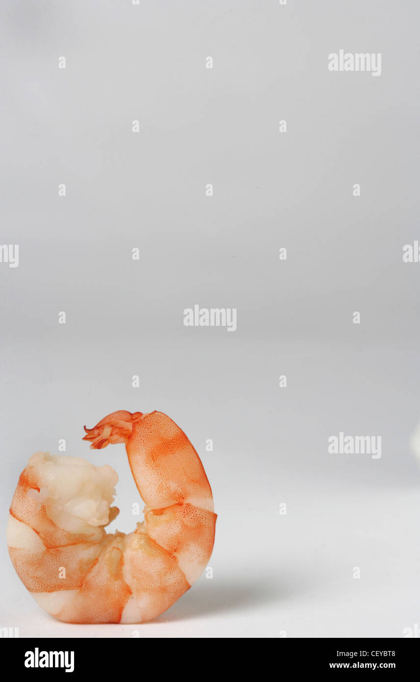 Still life with prawn hi-res stock photography and images - Alamy