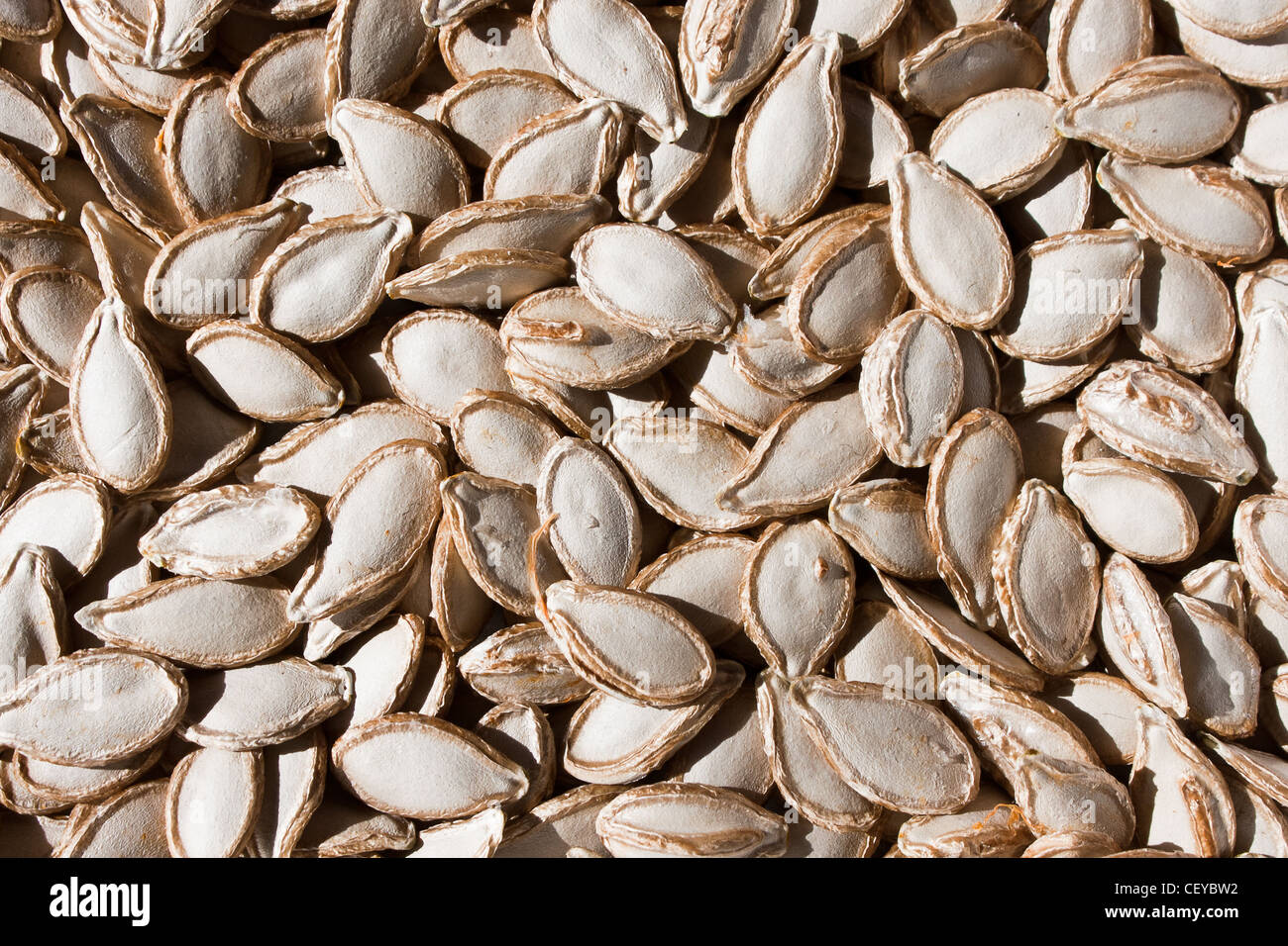 Real raw pumpkin seeds background Stock Photo - Alamy