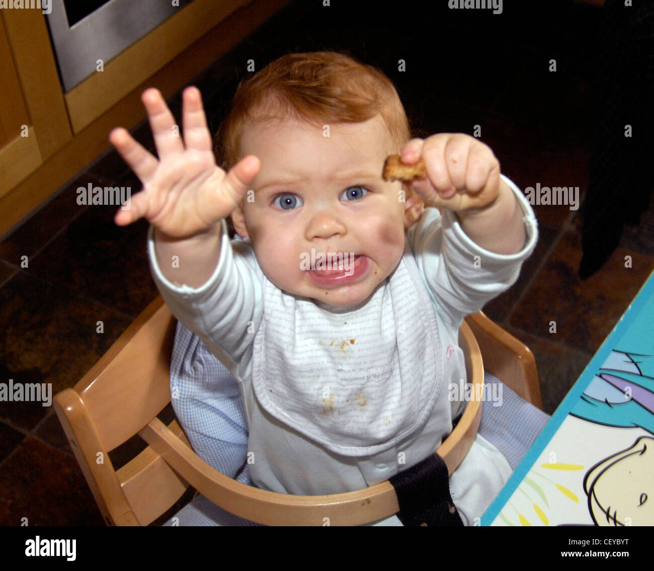 Toddler sitting at table in high chair eating toast reaching up to ...