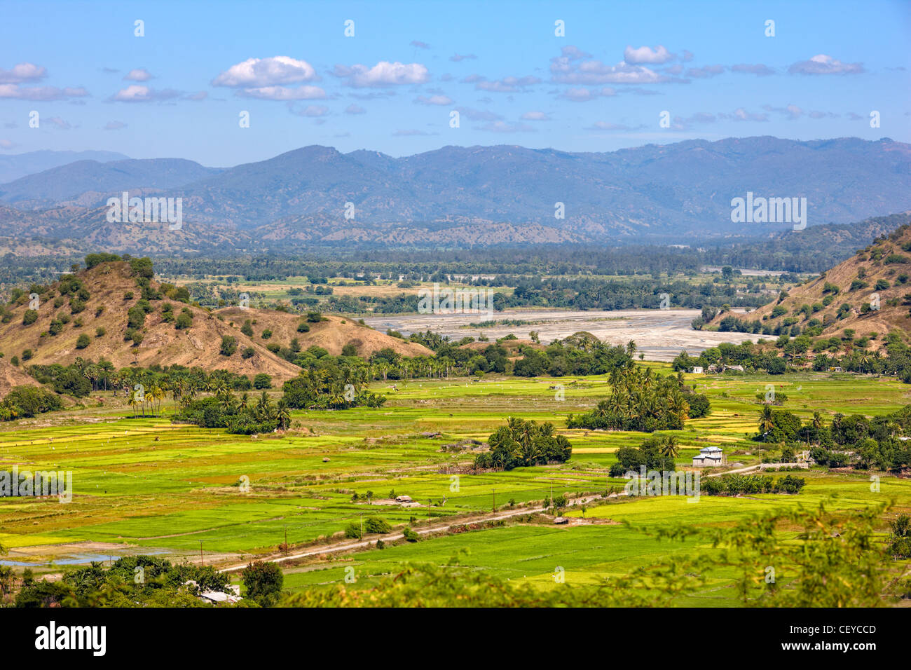 Manatuto hi-res stock photography and images - Alamy