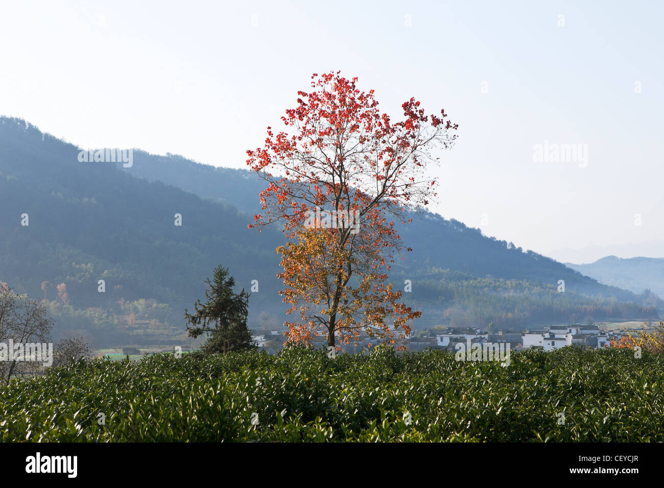 china ，tourism，old-fashioned，Man Made Structure，Protection，day，The ...