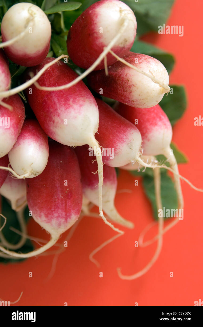 A close up of a bunch of radishes on a dusty red background Stock Photo ...