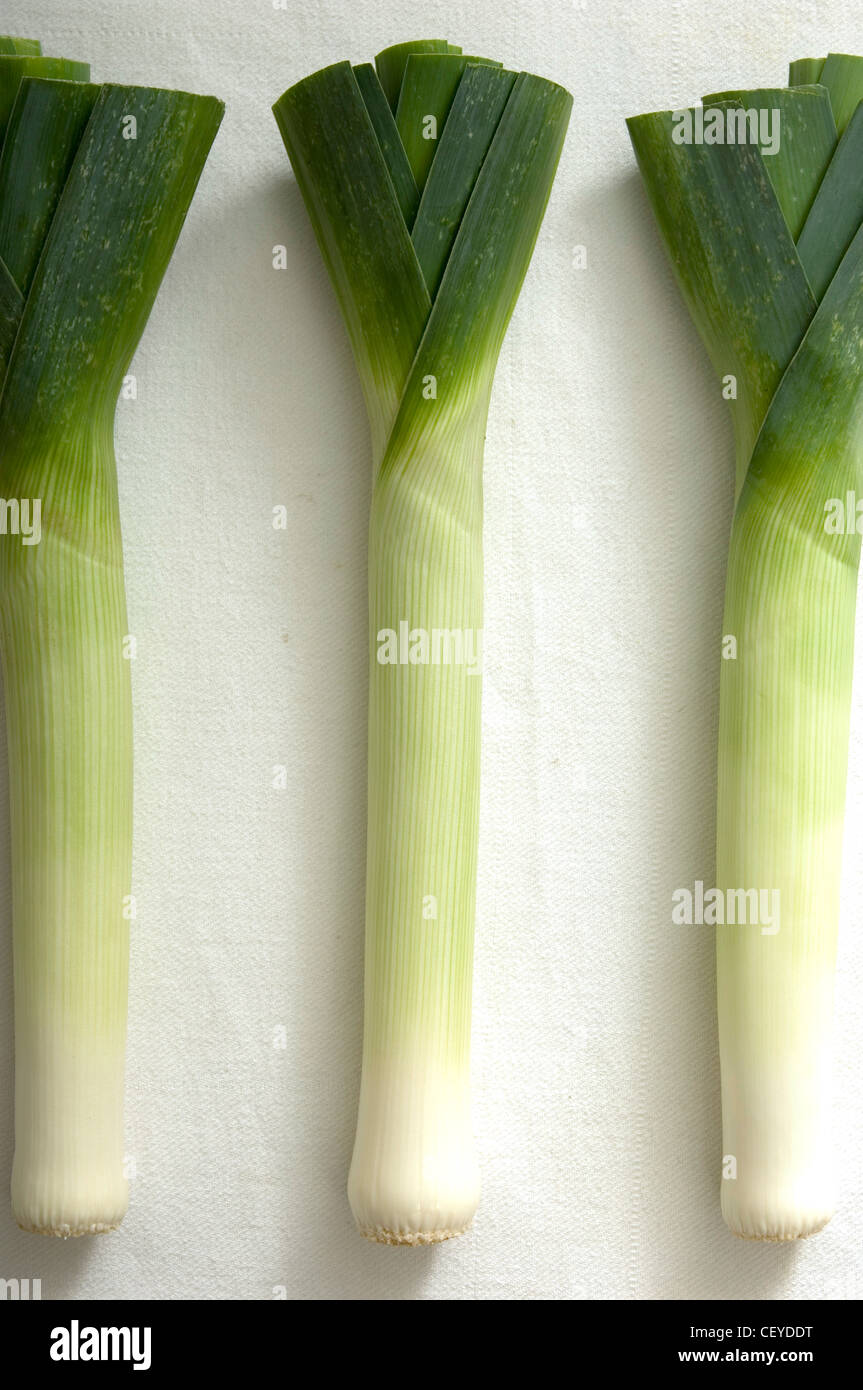 Three leeks on a white background Stock Photo - Alamy