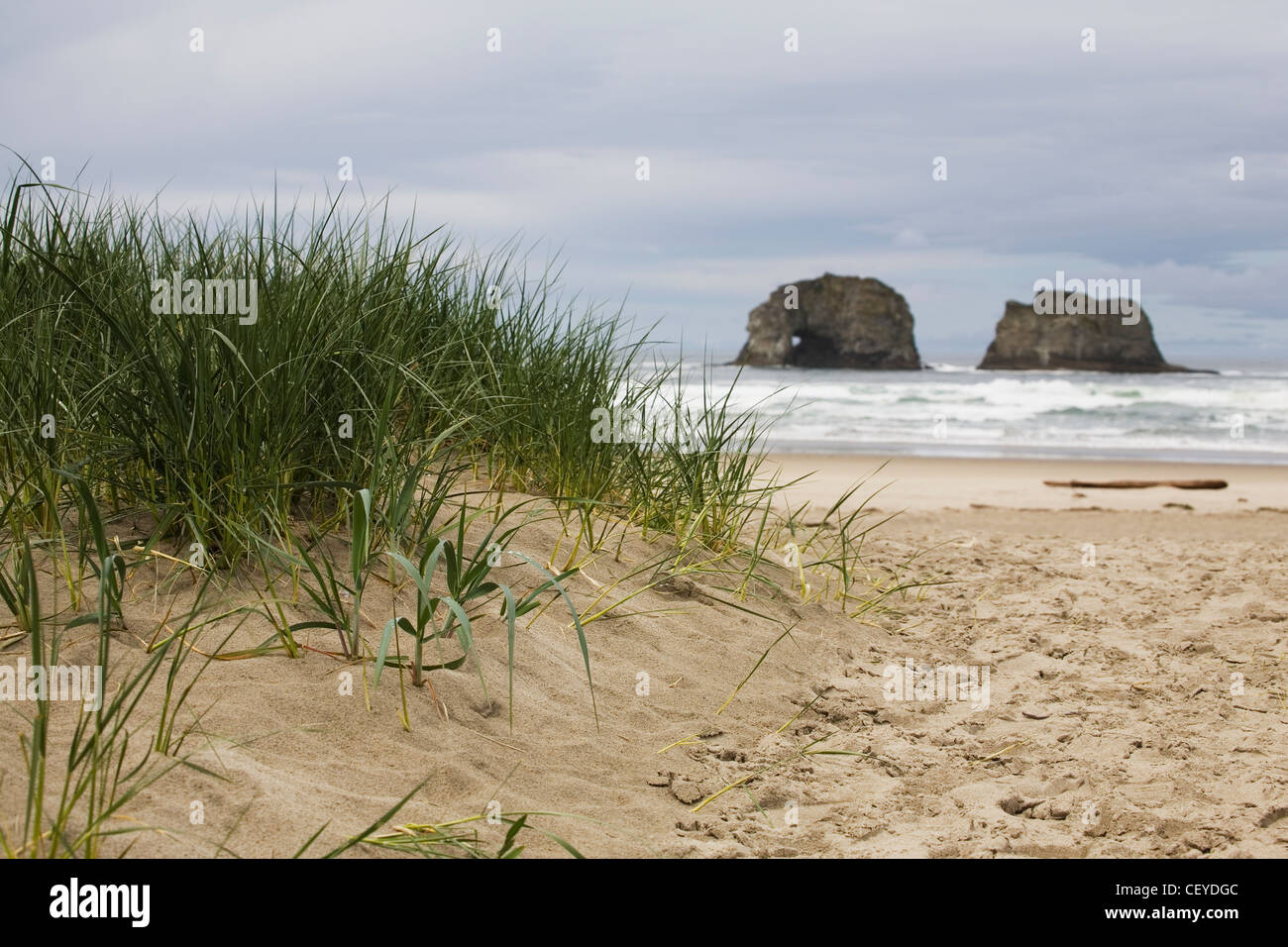 rock formations in the ocean with waves on a grassy beach; rockaway ...
