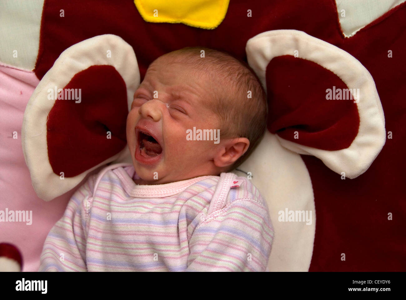 A newborn female baby dressed in a pink striped babygrow crying with ...