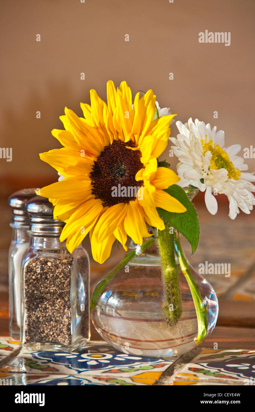 Simple sunflower hi-res stock photography and images - Alamy