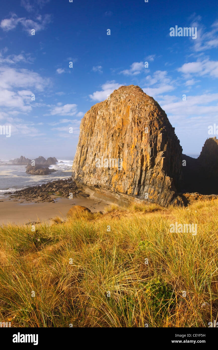 a large rock formation at seal rock in seal rock state recreation site ...