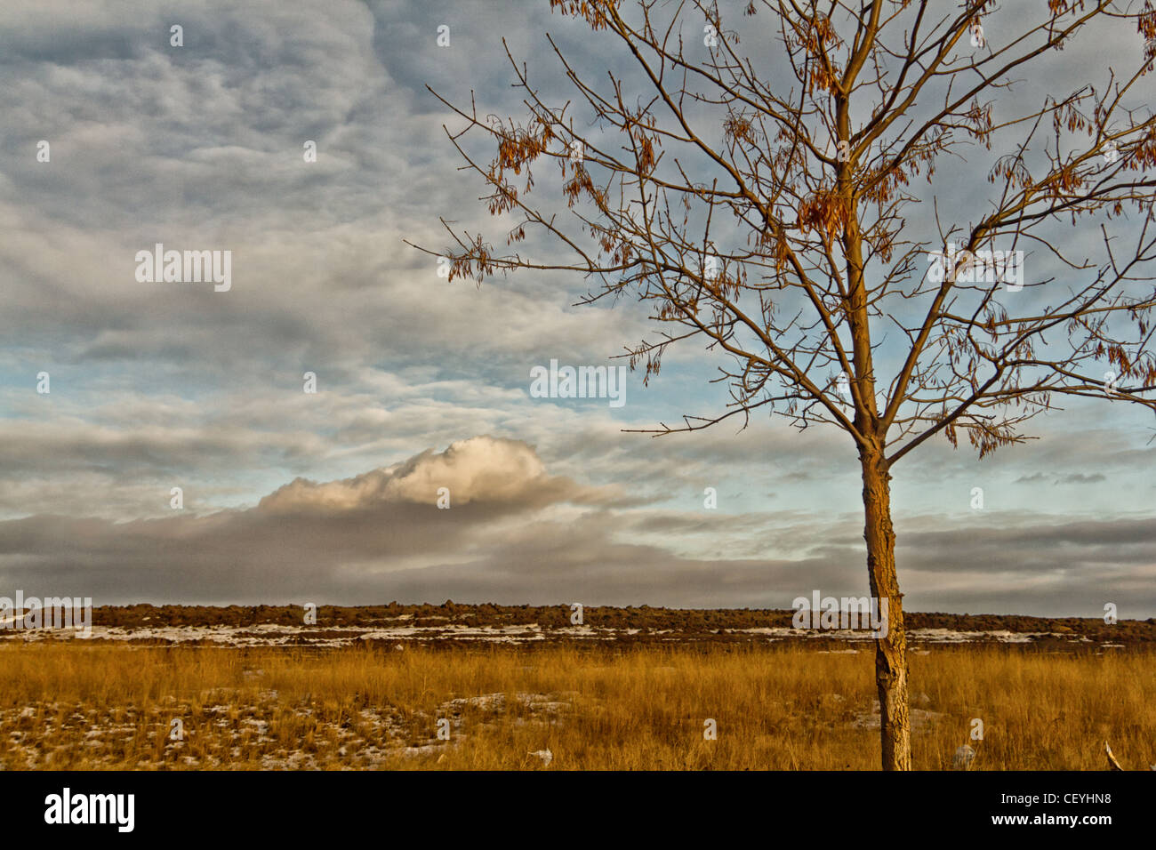 Flat lands hi-res stock photography and images - Alamy