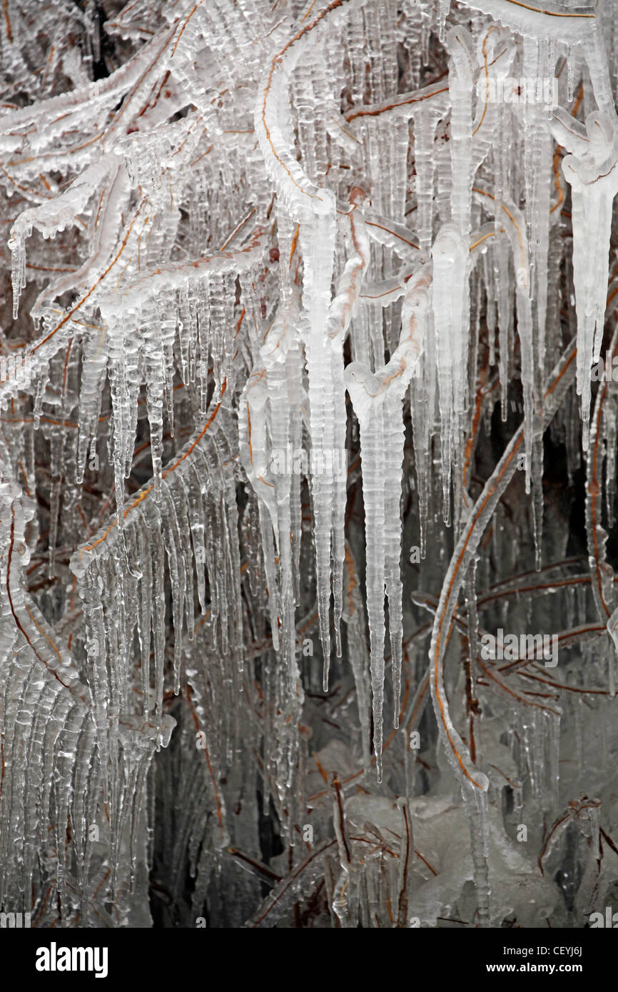 Water frozen over hi-res stock photography and images - Alamy