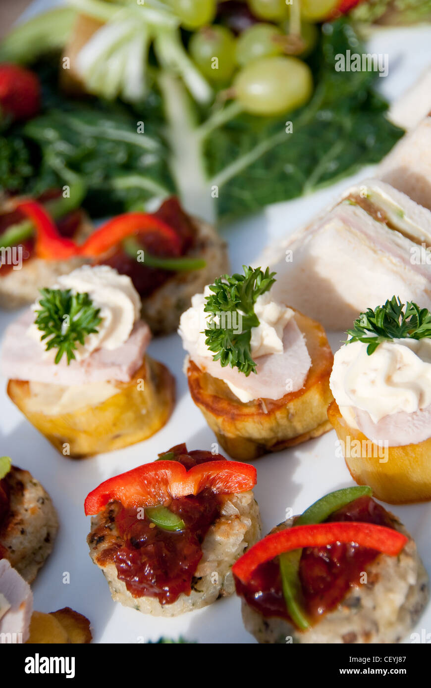 Canapes on a plate at a function, sandwiches, finger food Stock Photo ...
