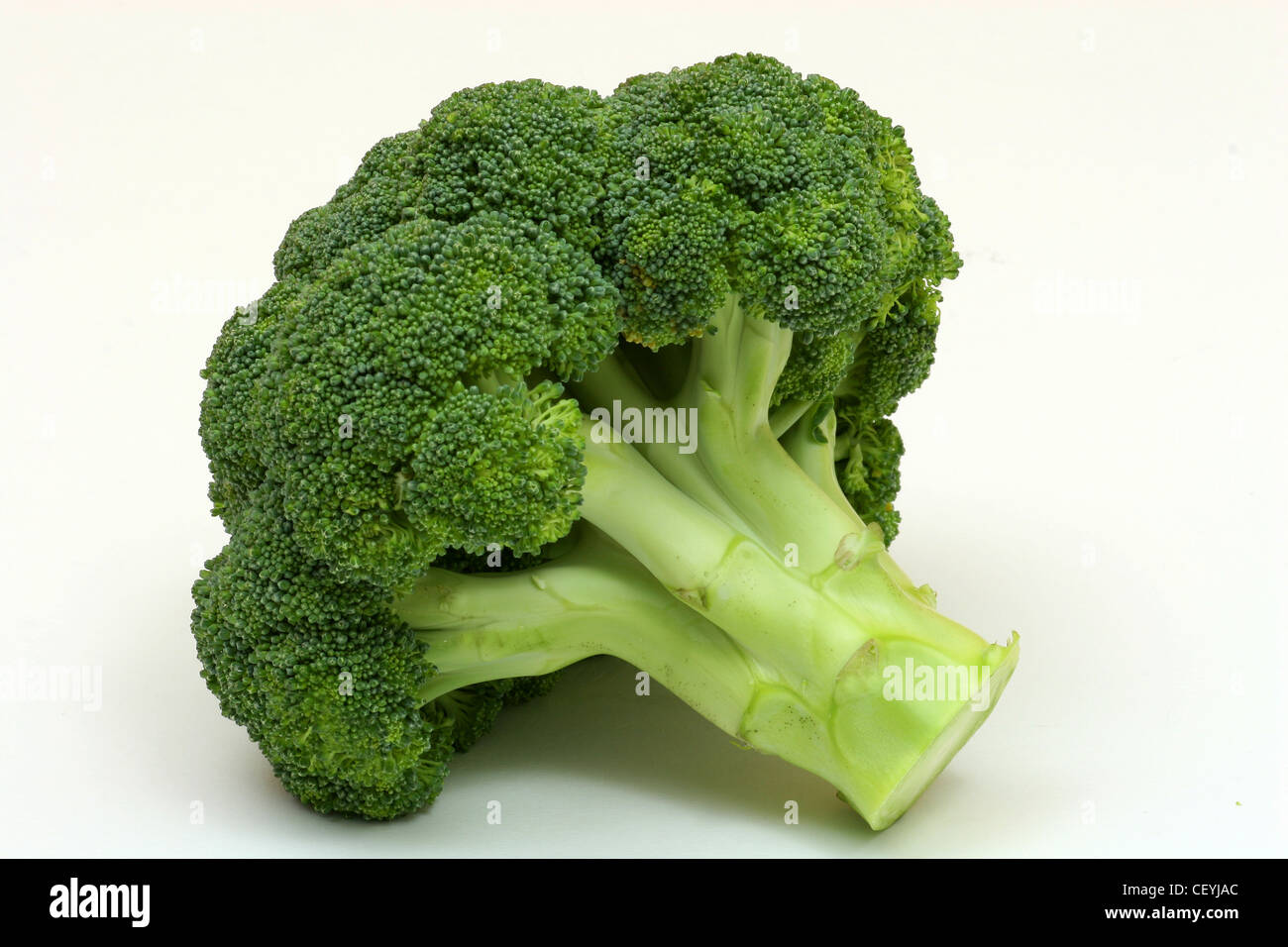 A cut out of a head of broccoli Stock Photo - Alamy