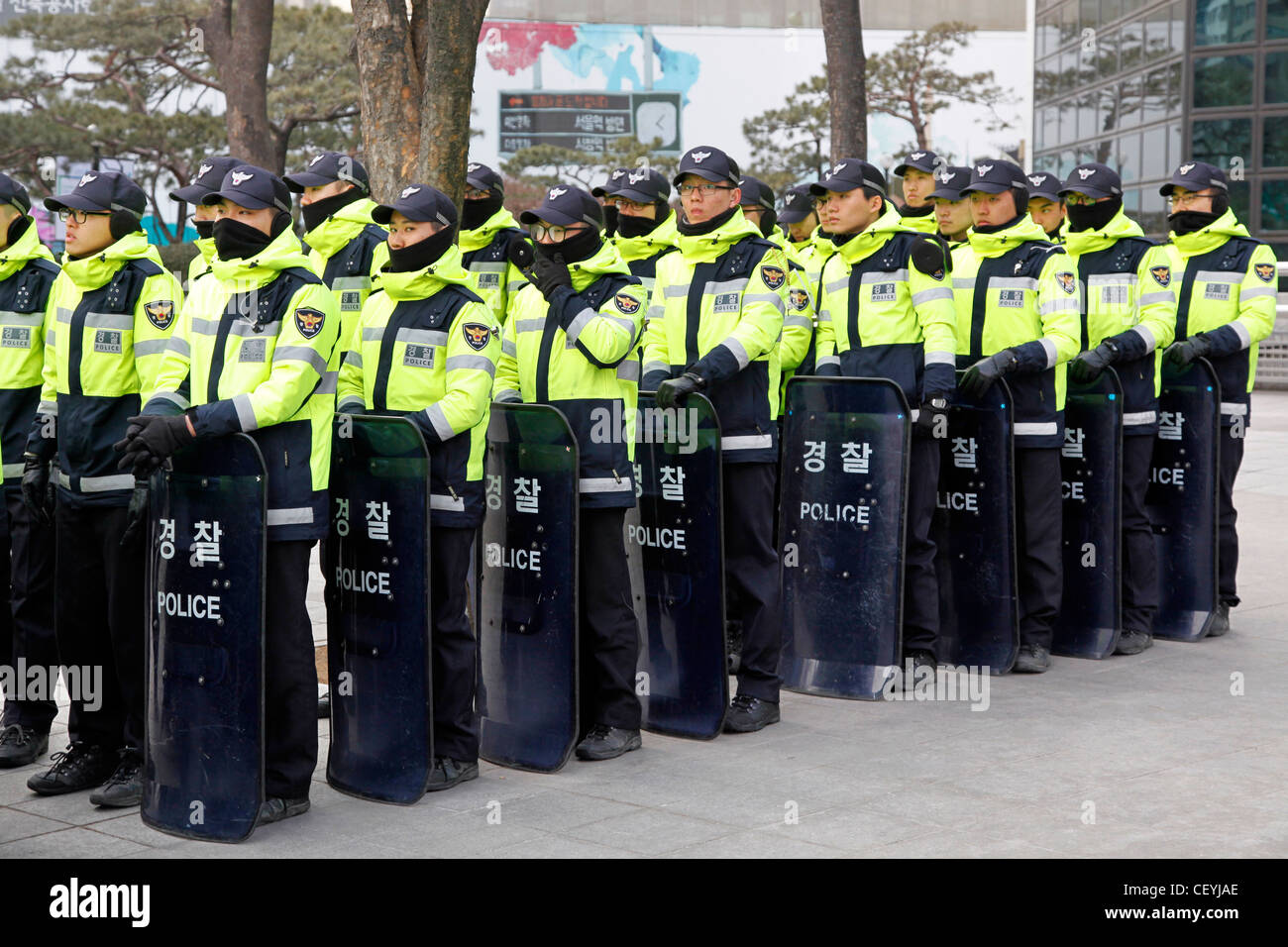 Korean Riot Police South Korean Authorities Attempt To Arrest